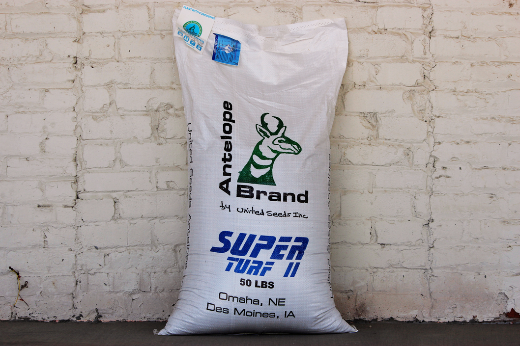 Super Turf II LS Tall Fescue-Bluegrass Blend – United Seeds