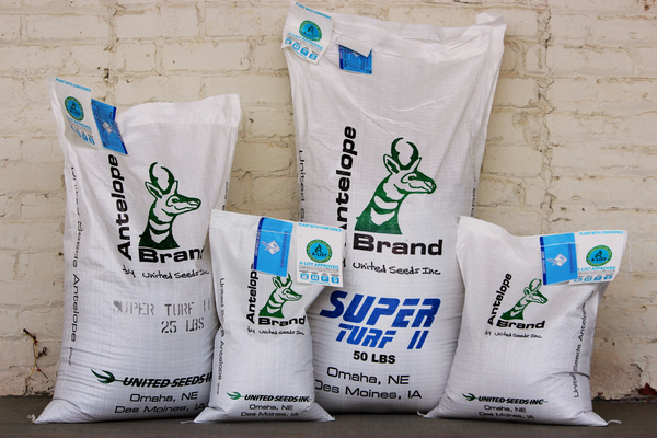 Super Turf II LS Tall Fescue-Bluegrass Blend – United Seeds