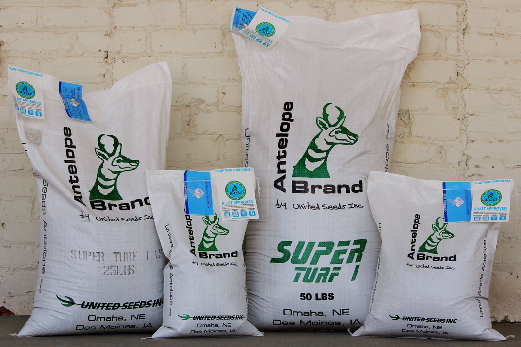 Super Turf I LS Tall Fescue Blend – United Seeds