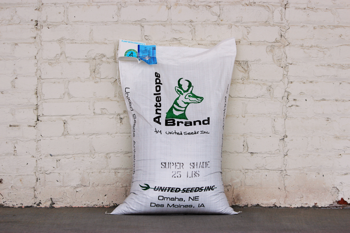 Super Shade Fine Fescue Blend – United Seeds