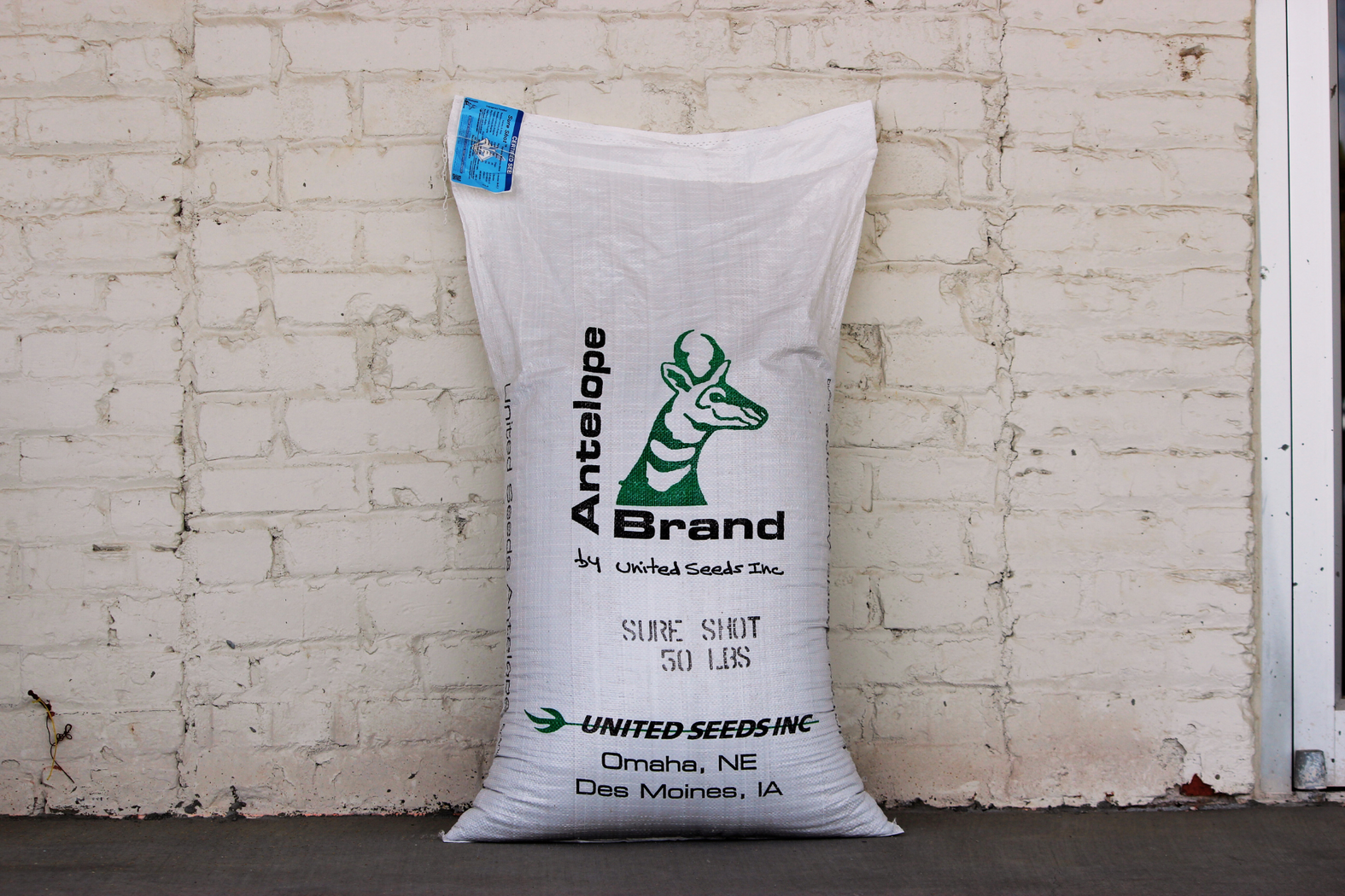Sure Shot Kentucky Bluegrass Blend – United Seeds