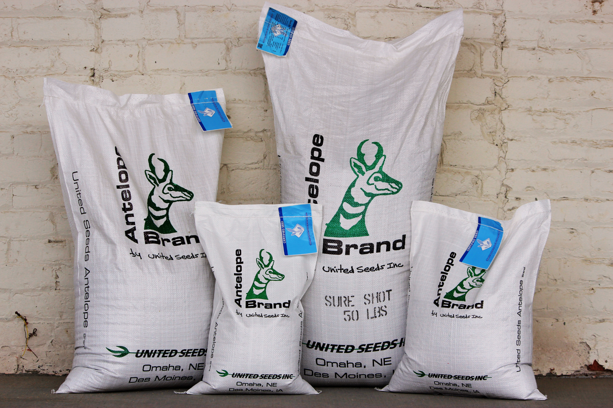 Sure Shot Kentucky Bluegrass Blend – United Seeds