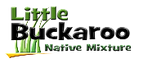 Little Buckaroo Native Mixture – United Seeds