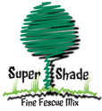 Super Shade Fine Fescue Blend – United Seeds
